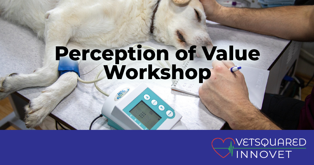 Perception of Value Workshop - VETSQUARED INNOVET